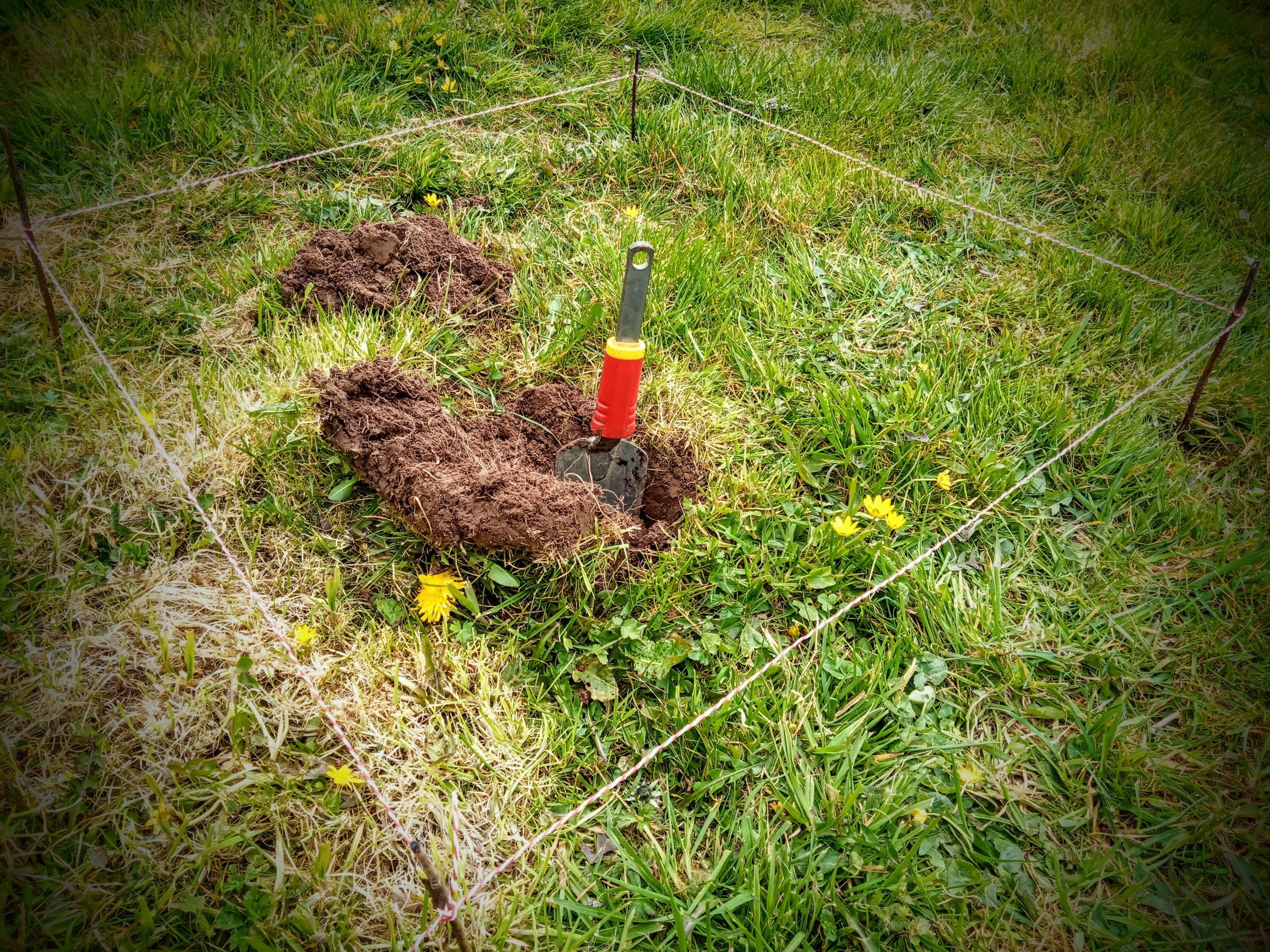 Outdoor Lessons | Can You Dig It? | Learning through Landscapes