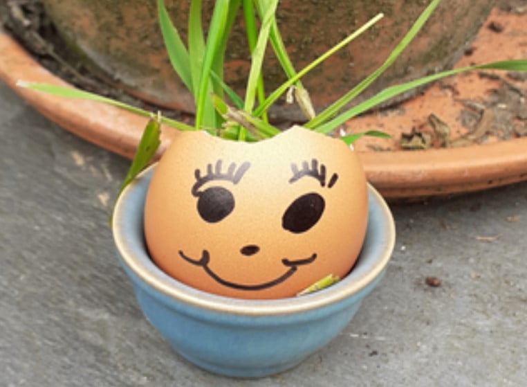 Outdoor Lessons | Eggy Cress Heads | Learning through Landscapes
