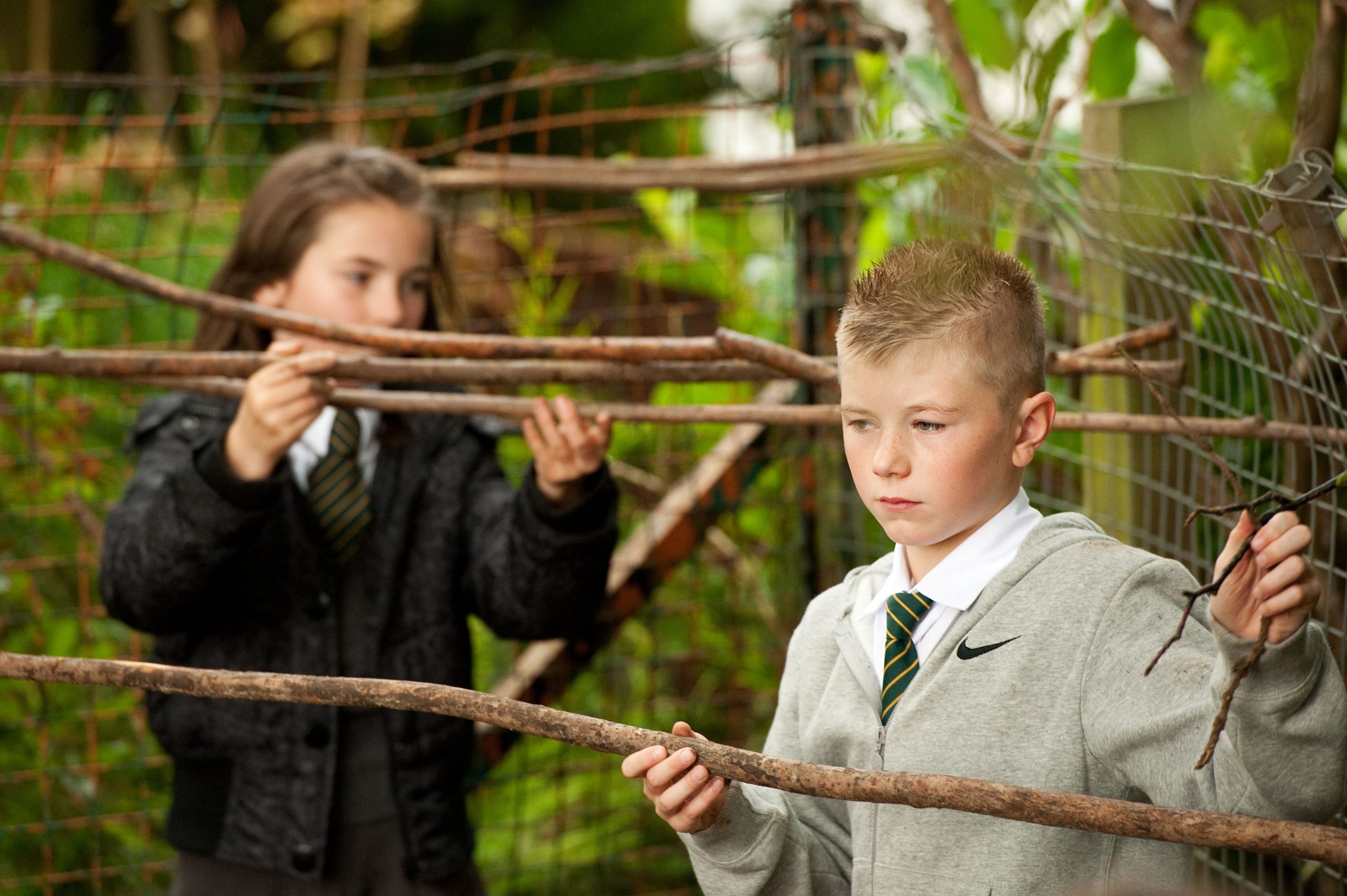 Outdoor Lessons | Judaism Outdoors Sukkot | Learning through Landscapes