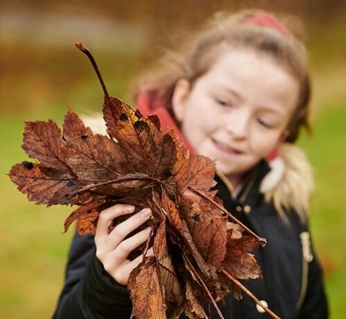 Leaf Slides - Learning through Landscapes