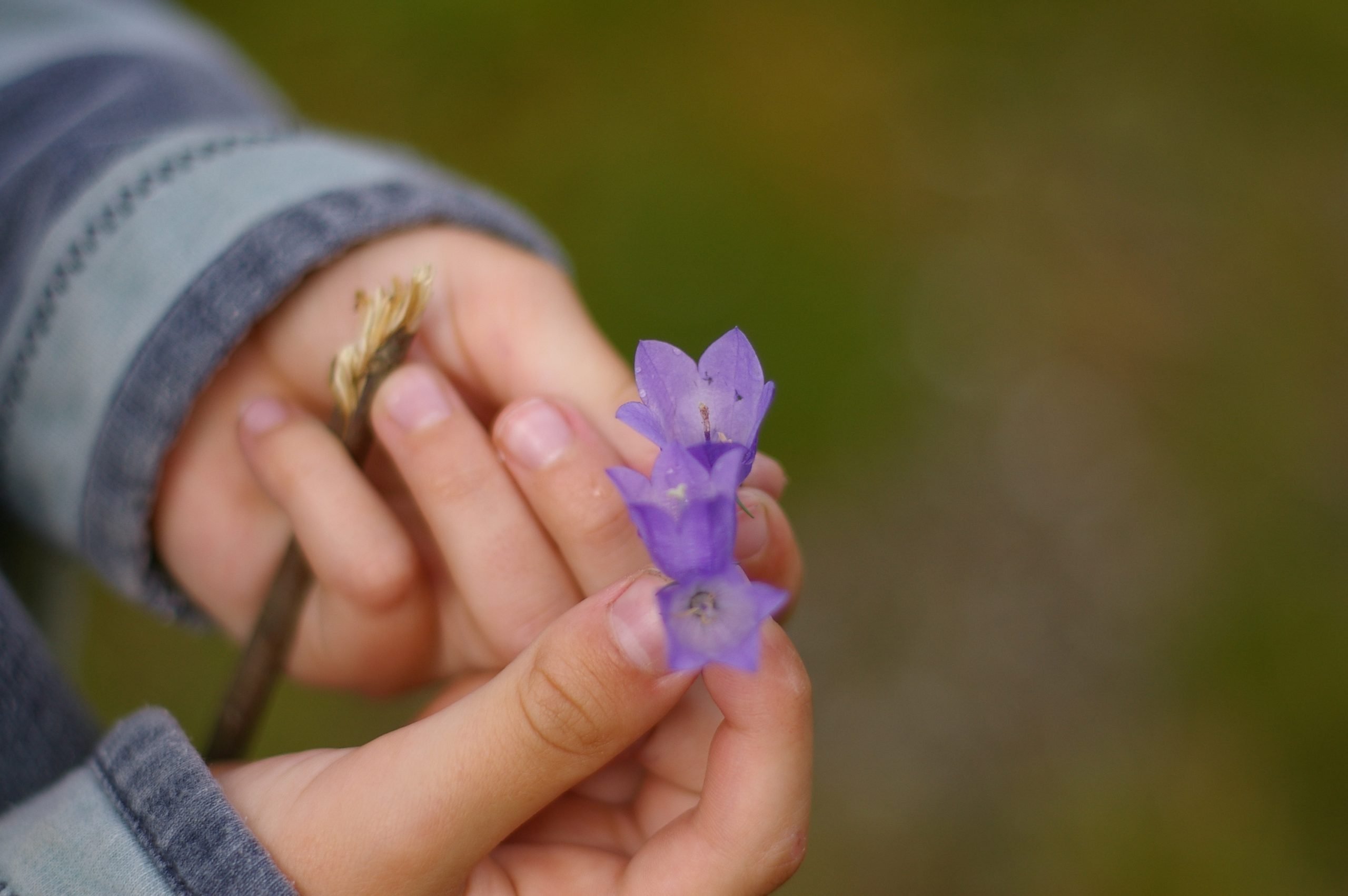 Outdoor homework | Outdoor Lesson Idea | Learning through Landscapes