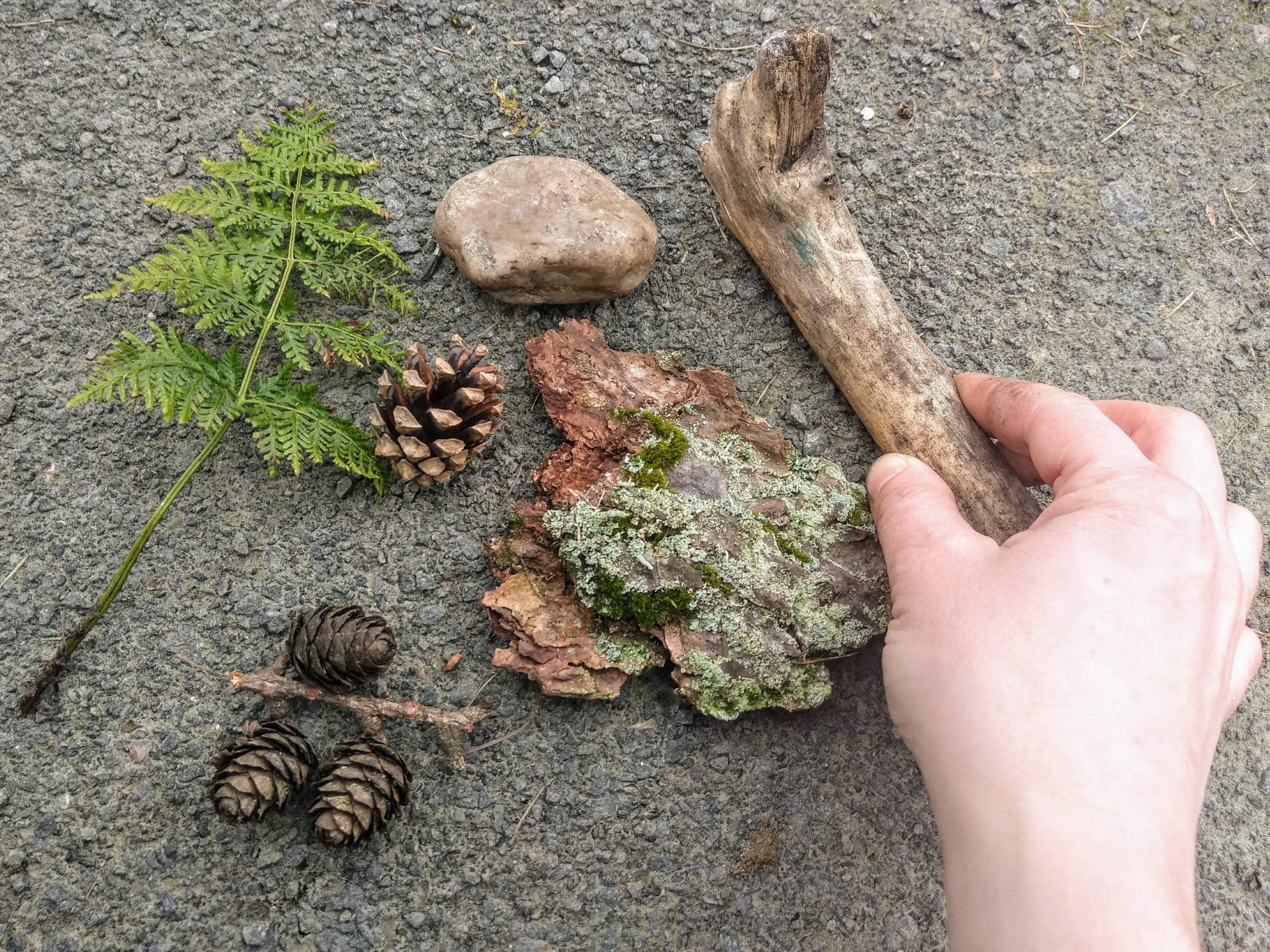 Outdoor Lessons | Talking Tokens | Learning through Landscapes