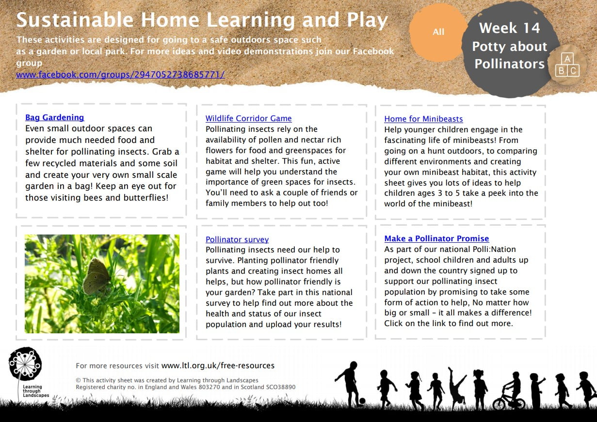 Sustainable Home Learning and Play | Week 14 | Early Years to Upper Primary