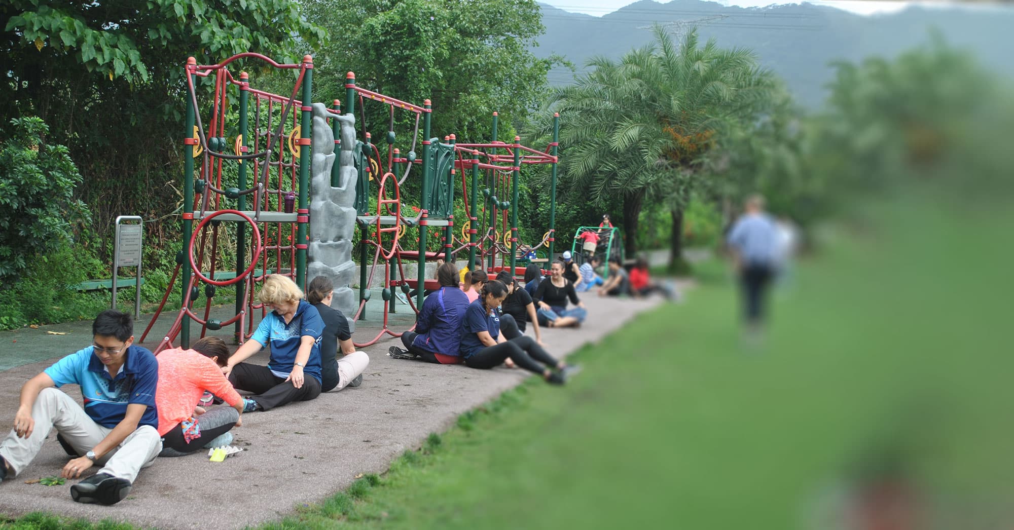 Outdoor Learning in International Schools | Learning through Landscapes