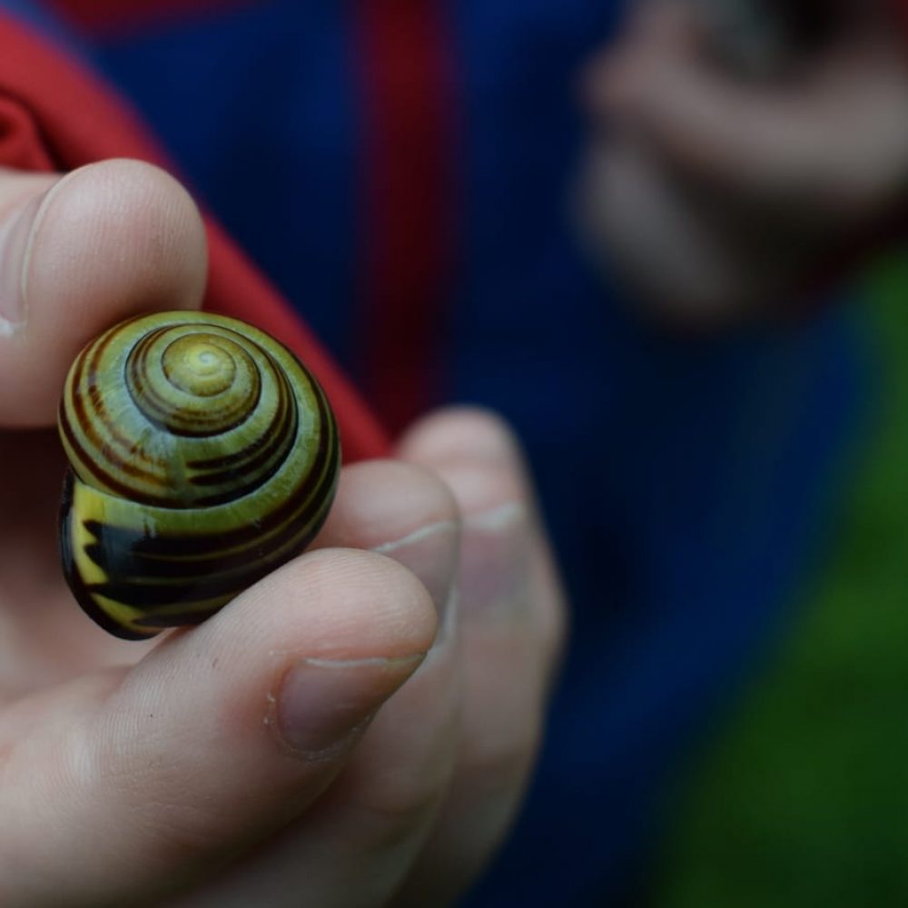 Outdoor Learning Training | Learning Through Landscapes