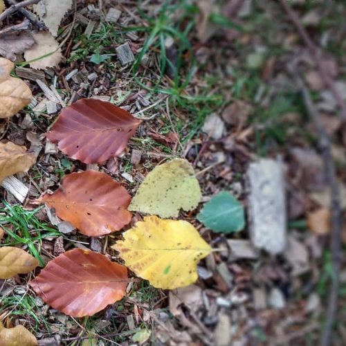 Outdoor Learning Training | Learning Through Landscapes