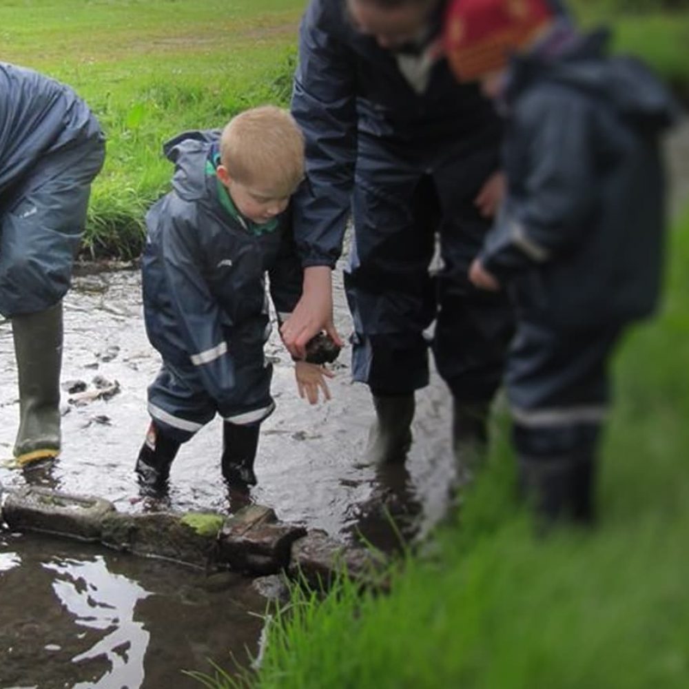 Outdoor Learning Training | Learning Through Landscapes
