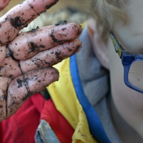 Outdoor Learning Training | Learning Through Landscapes