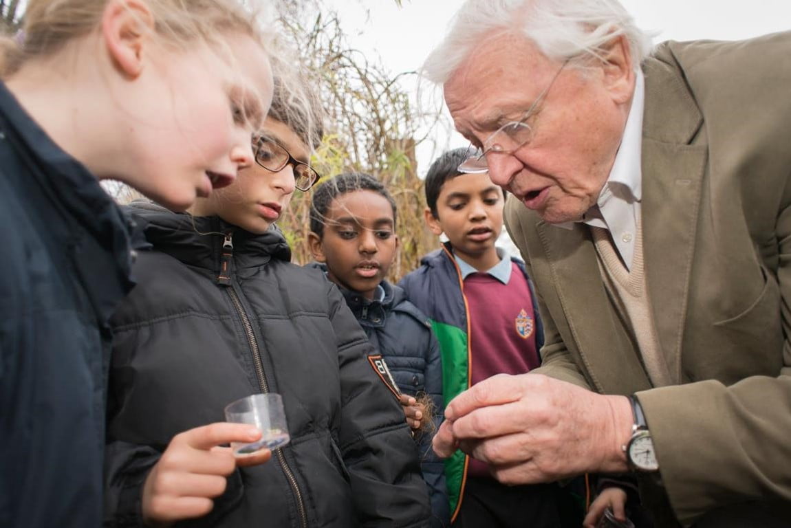 Join our FREE outdoor learning online support group during COVID-19 ...