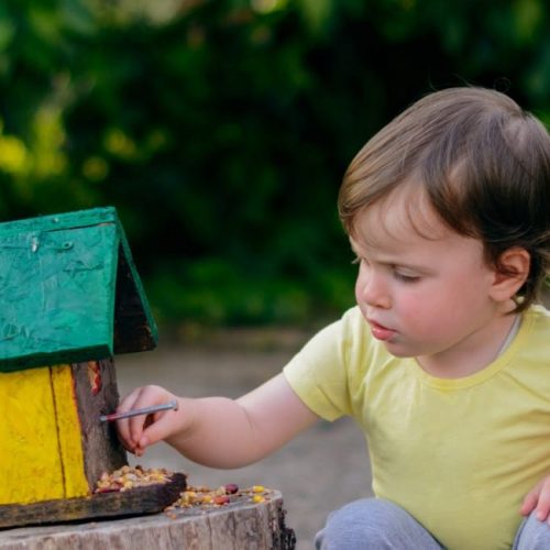 Early Years Outdoor Learning and Play | EYFS