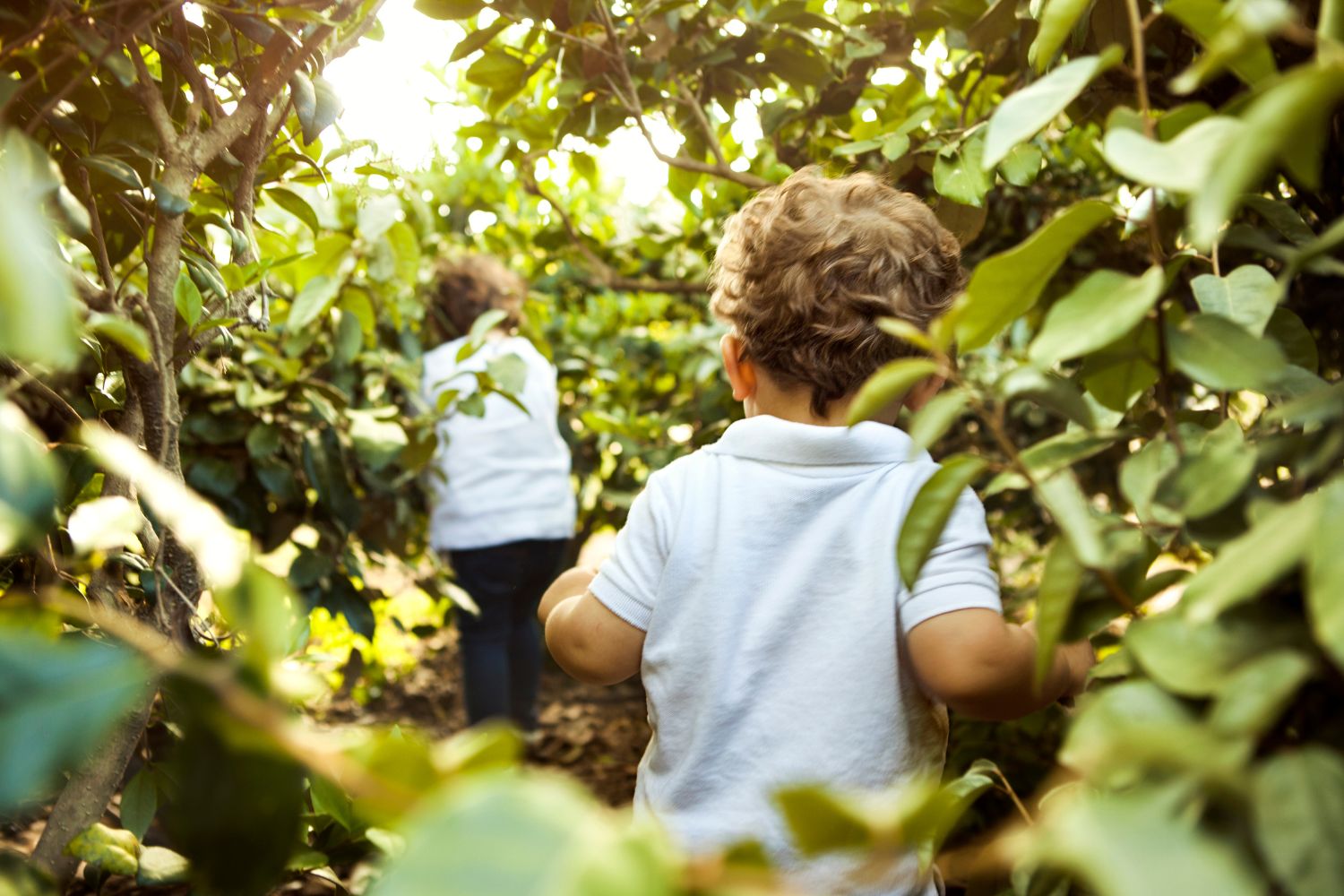 Forest Kindergarten | Learning through Landscapes