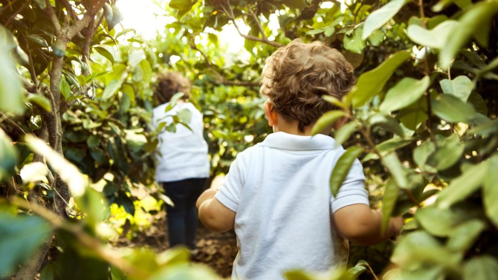 Comparing Forest Kindergarten and Forest School - Learning through ...