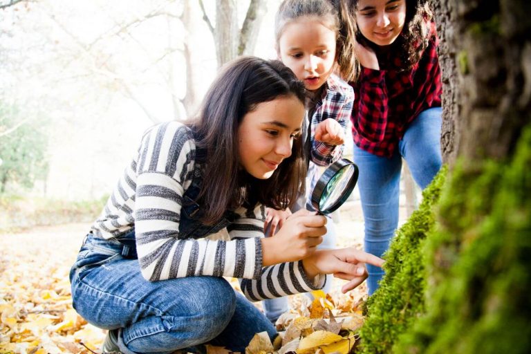 How outdoor learning can help you fulfil the four purposes of the new ...