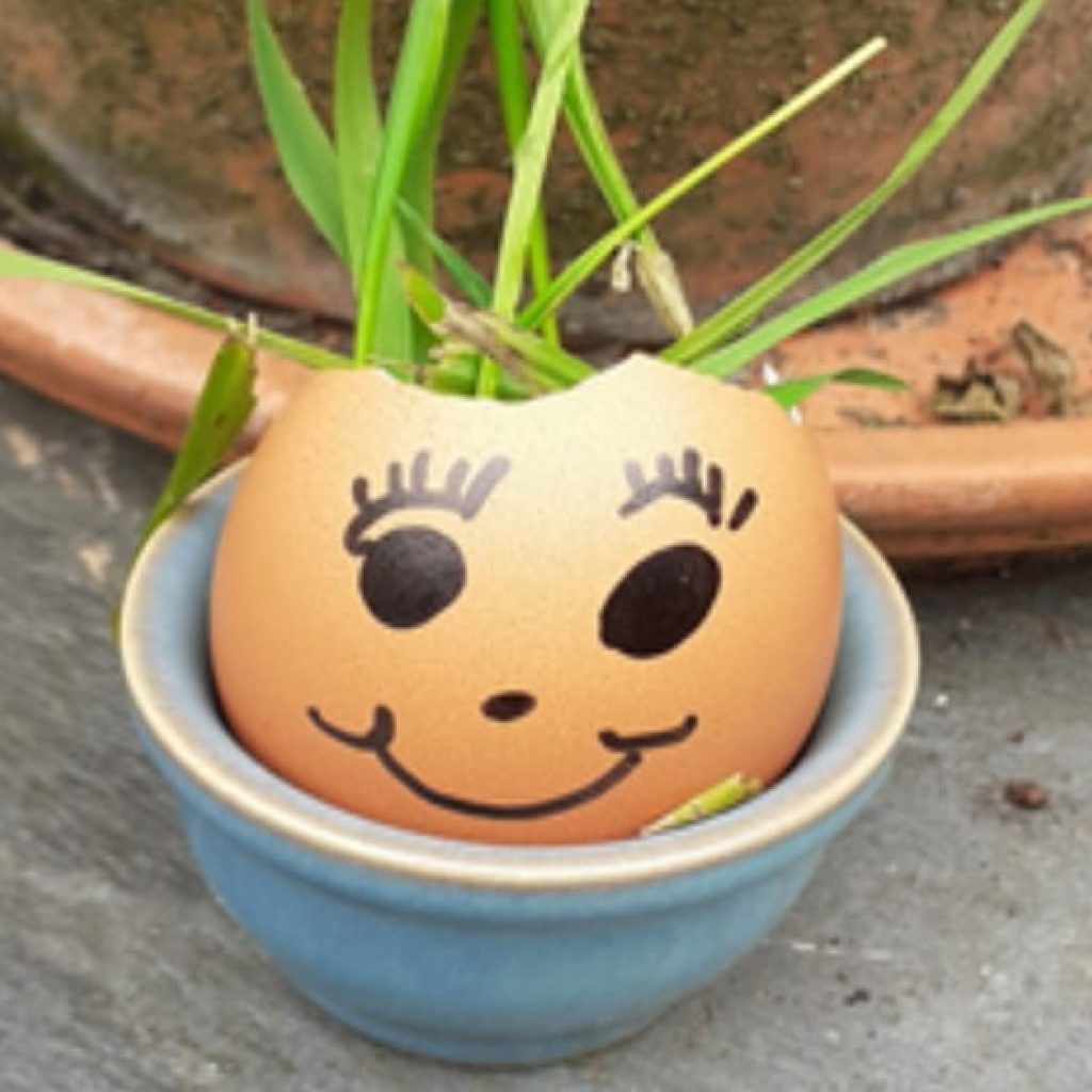 School Grounds Design Guide - Learning through Landscapes - School Grounds