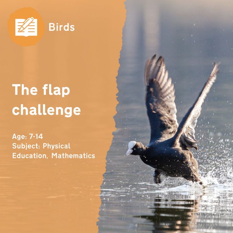 The Flap Challenge | Outdoor Lesson Idea by Learning through Landscapes