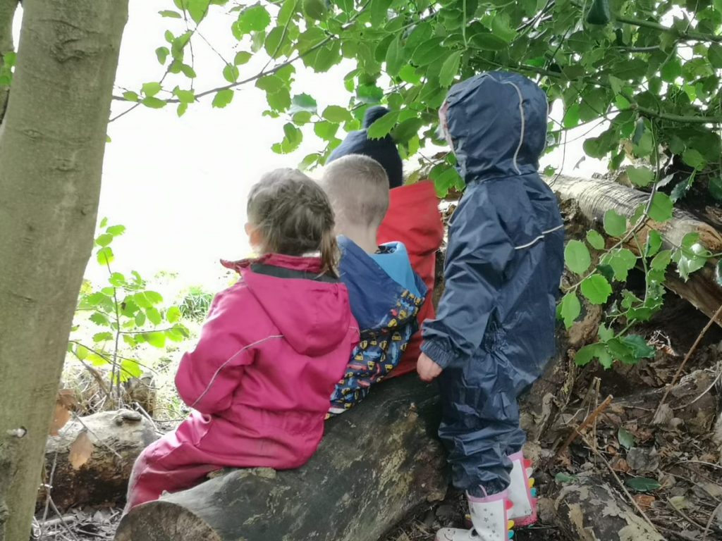 Outdoor Lessons | Forest Bathing | Learning through Landscapes