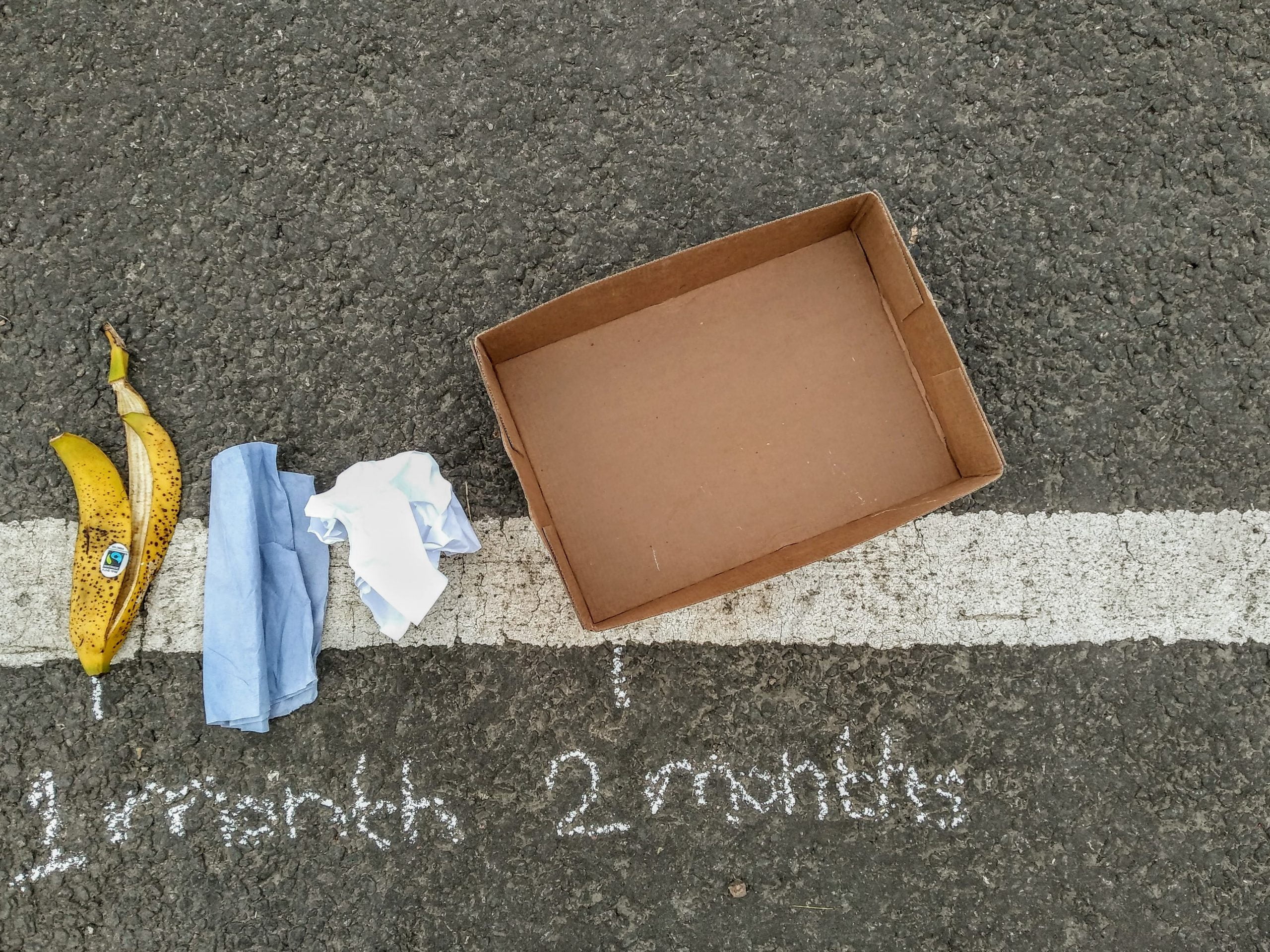 Outdoor Lessons | Decomposition Rates Game | Learning through Landscapes