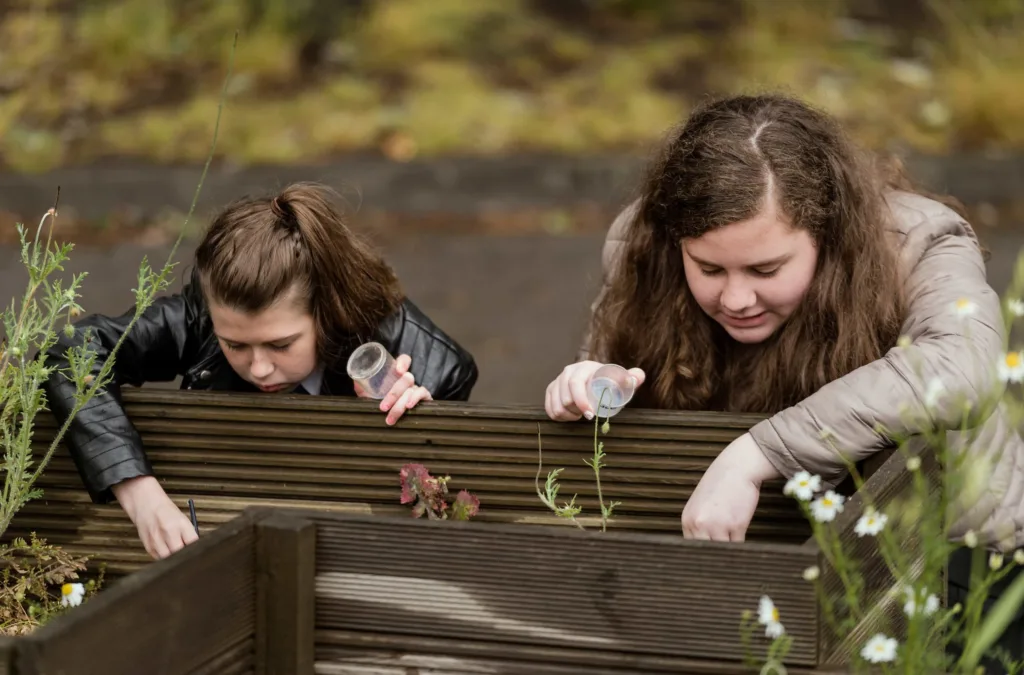 Learning through Landscapes - Invertebrate Investigations
