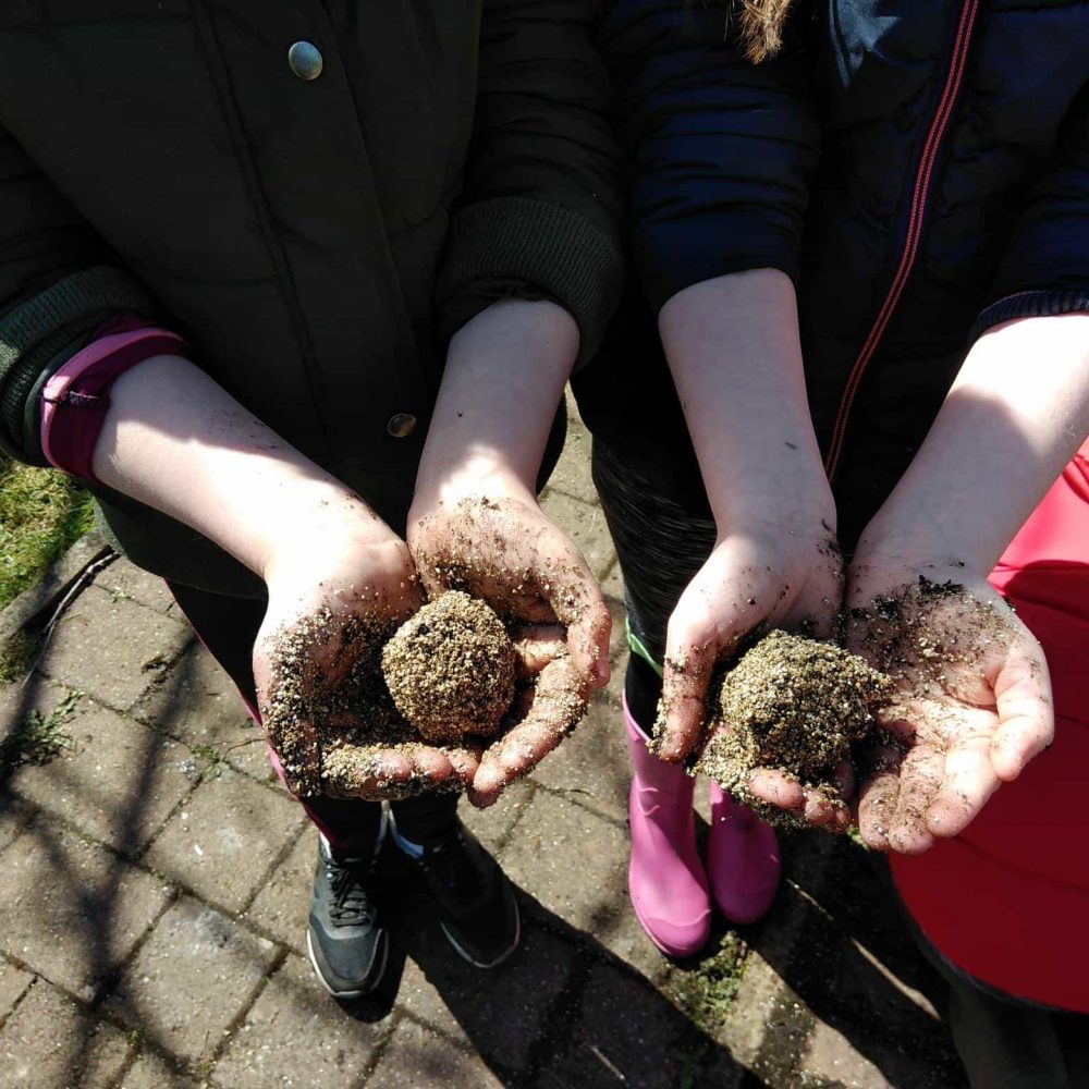 Animal Seed Dispersal Game | Learning through Landscapes