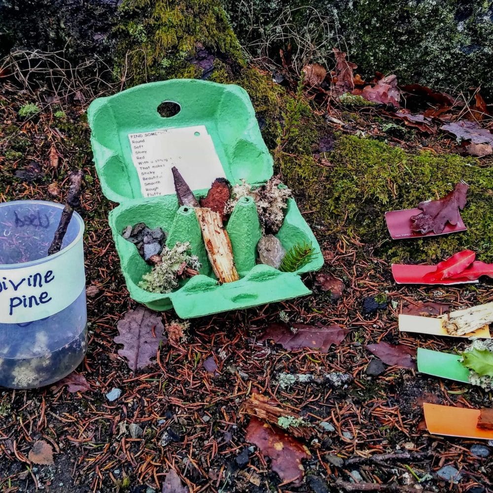 Japanese Art of Hapa zome | Learning through Landscapes