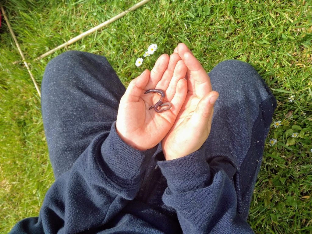 Outdoor Lessons | Worm Charming | Learning through Landscapes