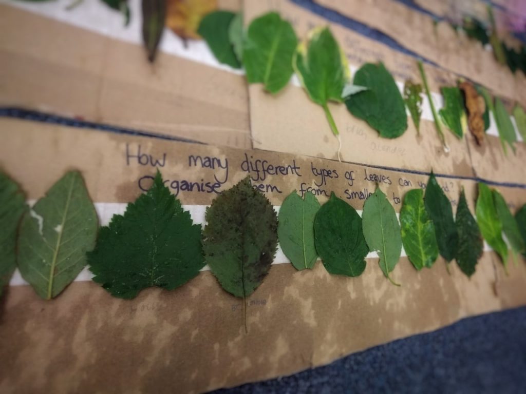 Outdoor Lessons | Forest Bathing | Learning through Landscapes