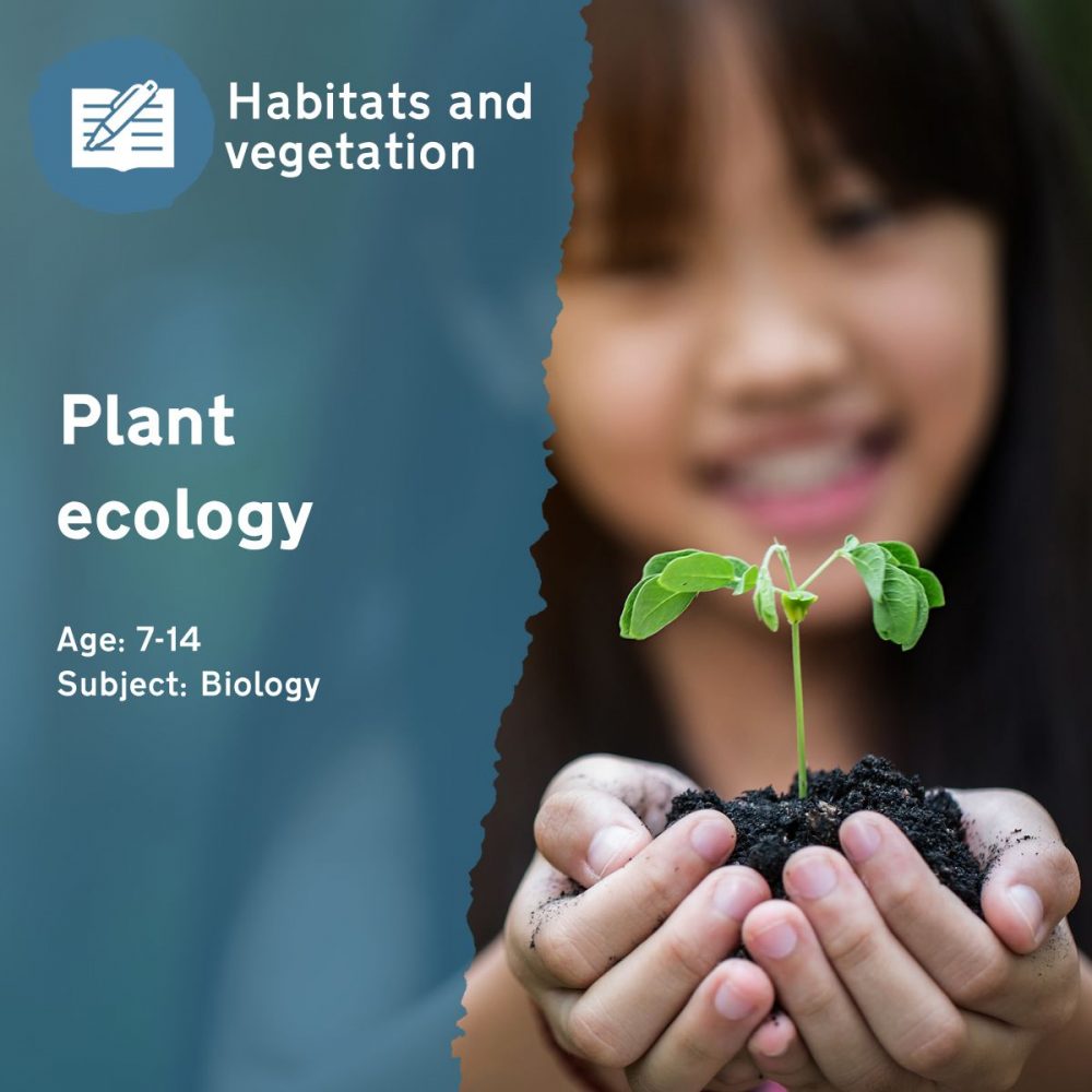 Plant Ecology | Outdoor Lesson Idea by Learning through Landscapes