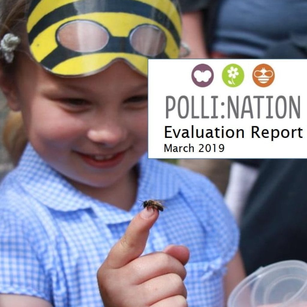 Polli:Nation project final report | Learning through Landscapes