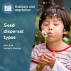 Seed Dispersal Types | Outdoor Lesson Idea by Learning through Landscape