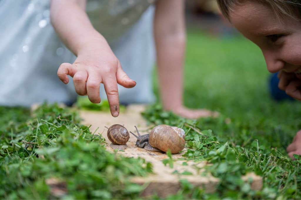 3 things you need to know about outdoor learning in the early years