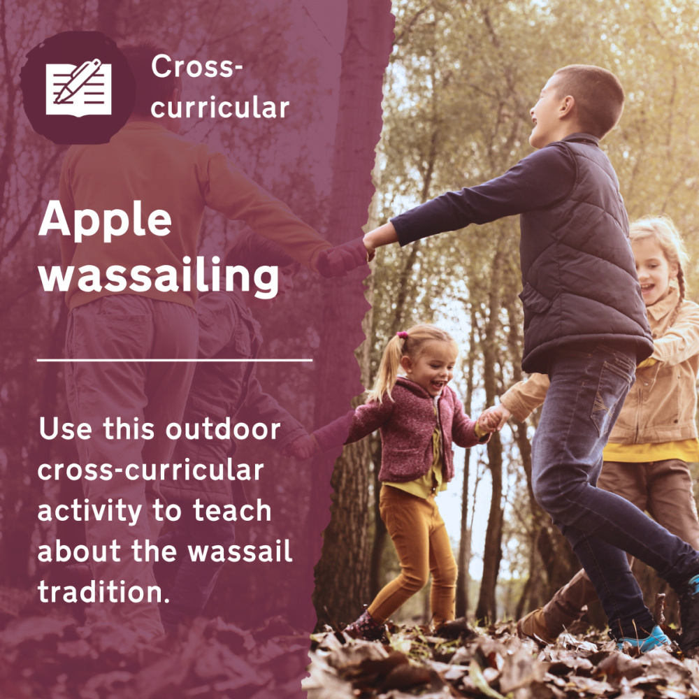 Outdoor learning ideas | Learning through Landscapes