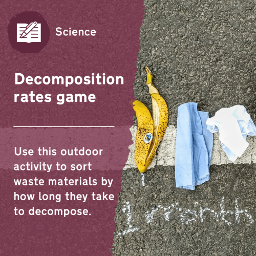 Decomposition Rates Game | Outdoor Lesson Idea by Learning through ...