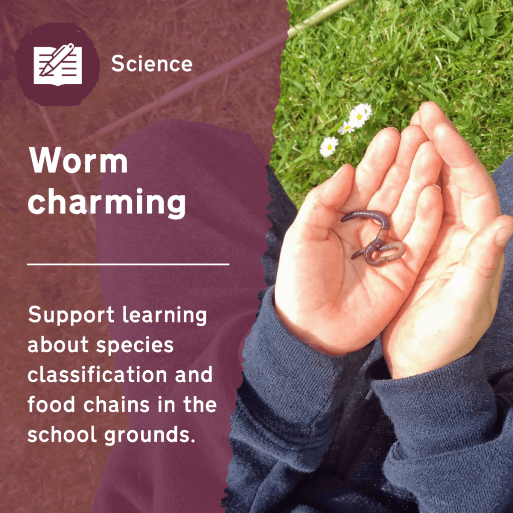 Outdoor Lessons | Worm Charming | Learning through Landscapes
