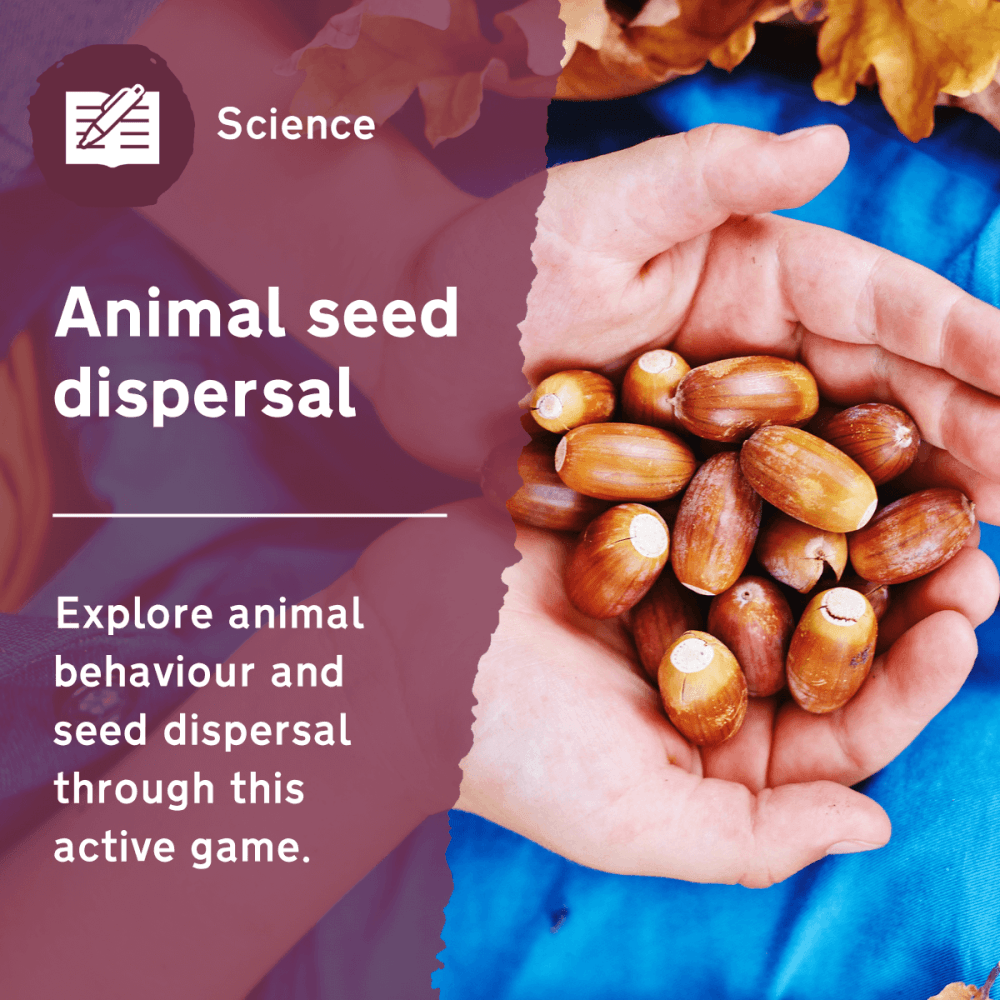 Animal Seed Dispersal Game | Learning through Landscapes