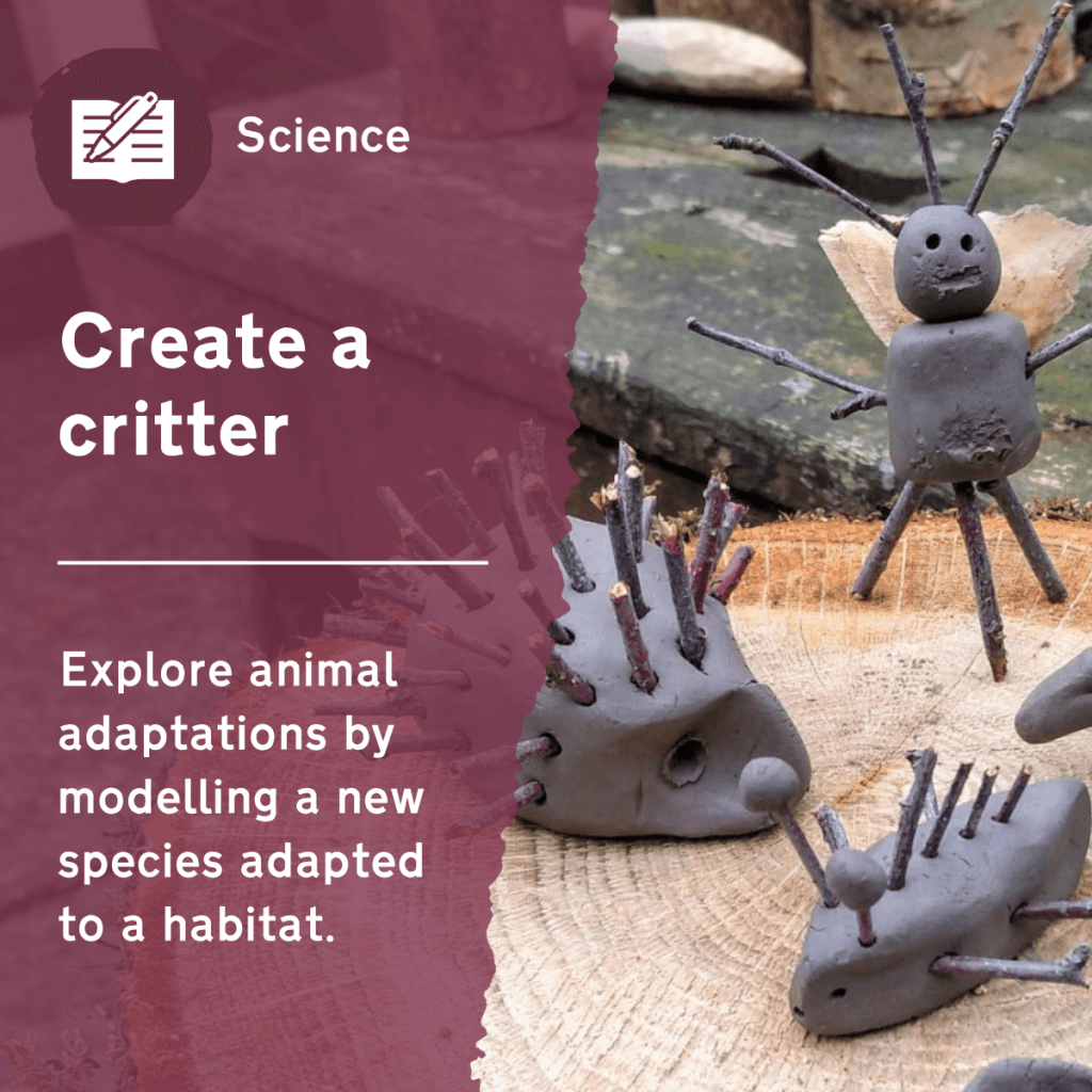 Create a Critter | Learning through Landscapes