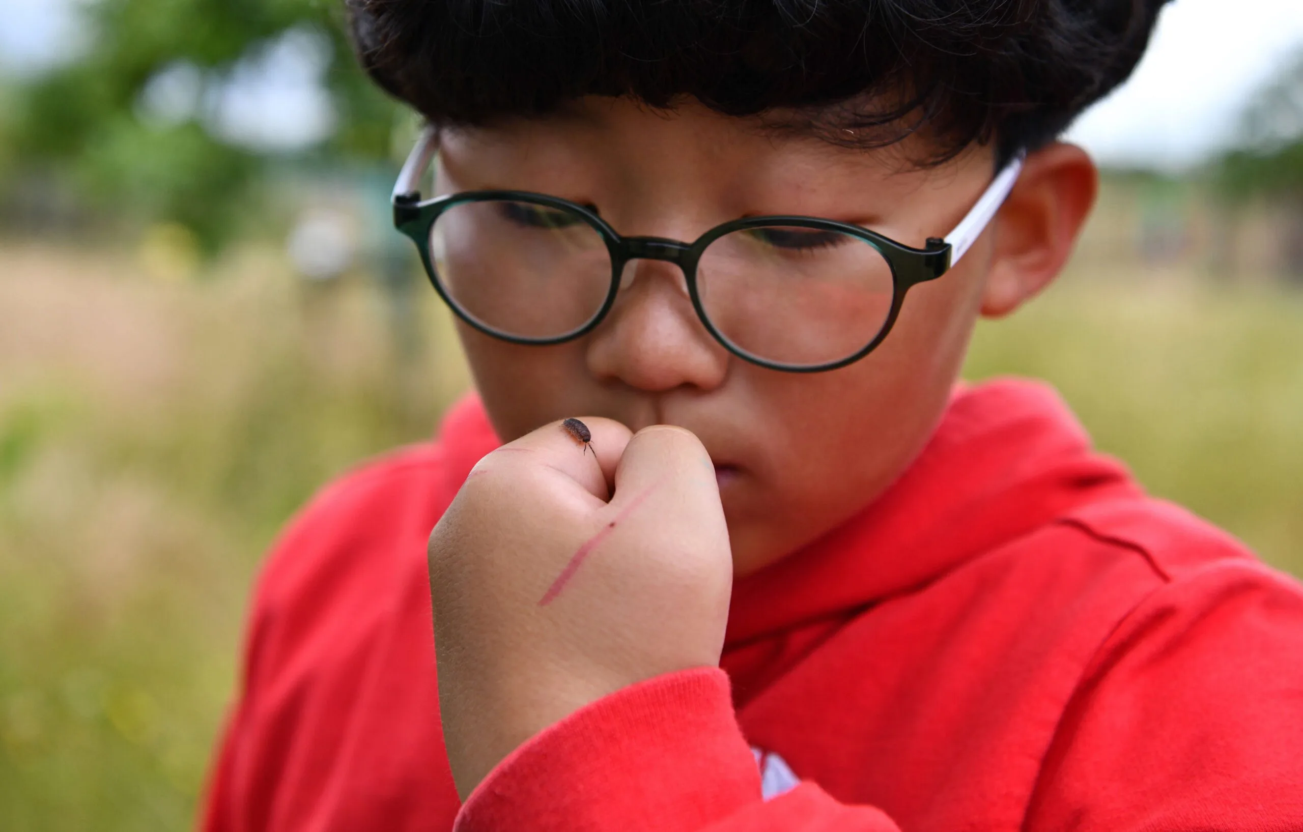 Learning through Landscapes - Our Impact