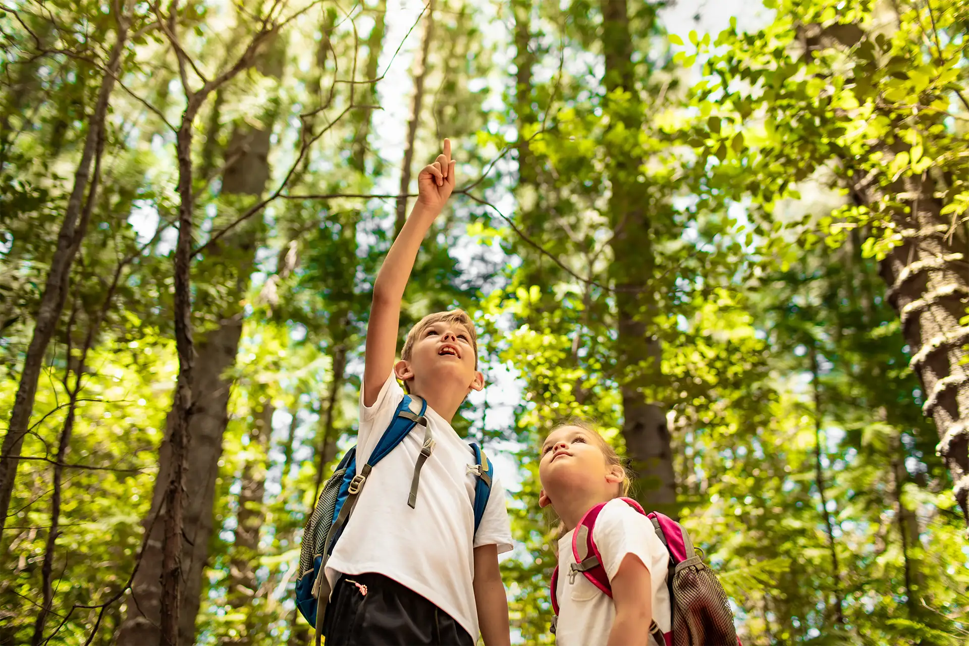 Learning through Landscapes - About