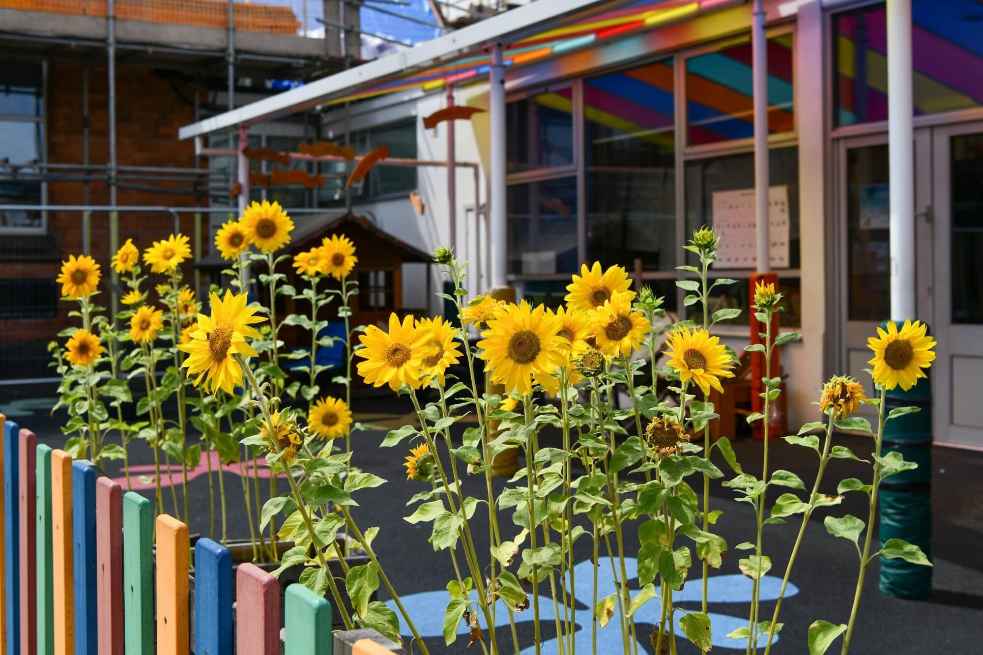 Remembering our trustee, John Troake - Learning through Landscapes